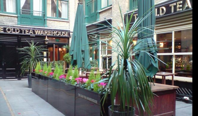 Old Tea Warehouse in London : Reviews & Booking | FANZO