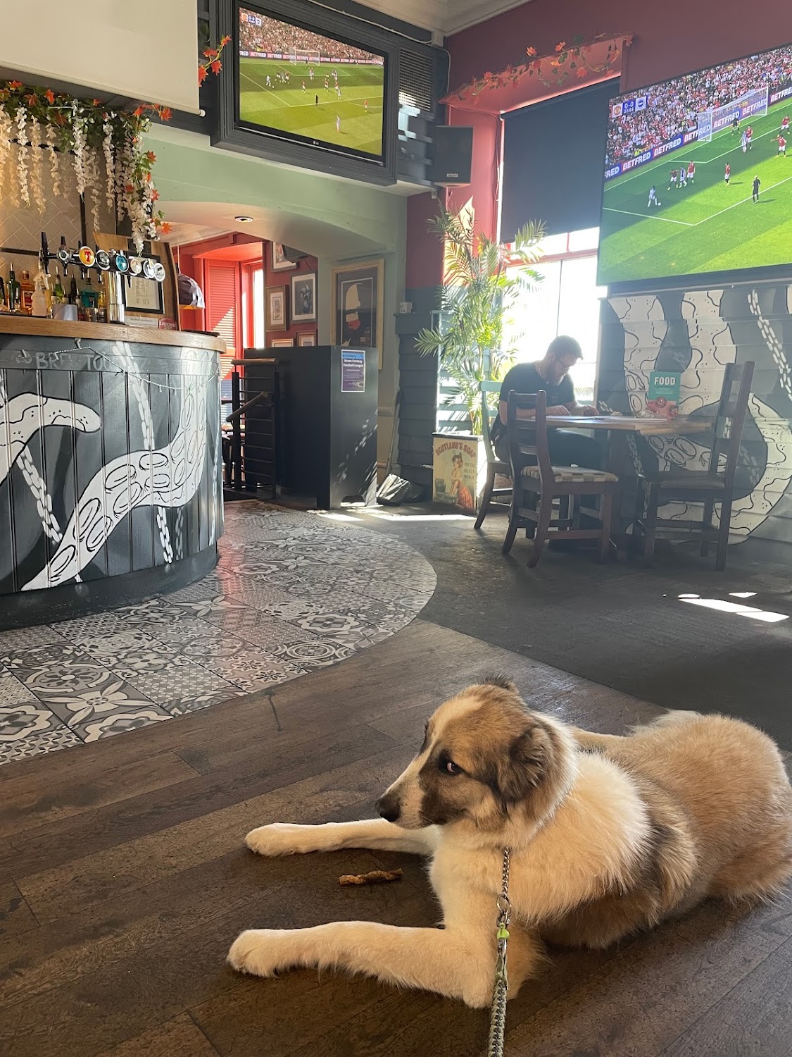 Braes Dundee in Dundee : Reviews & Booking | FANZO